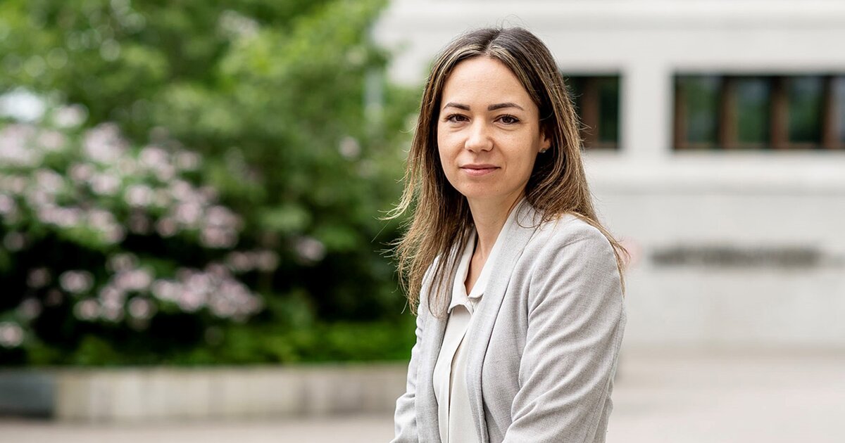 Von der Übersetzung in die Kanzlei